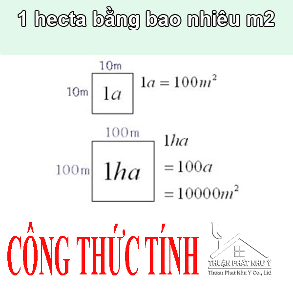 Top 1204 Gi i p 1 Ha B ng Bao Nhi u M2 C ng Th c n Gi n Nh t C p Top 1204 Gi i p 1 Ha B ng Bao Nhi u M2 C ng Th c n Gi n Nh t C p